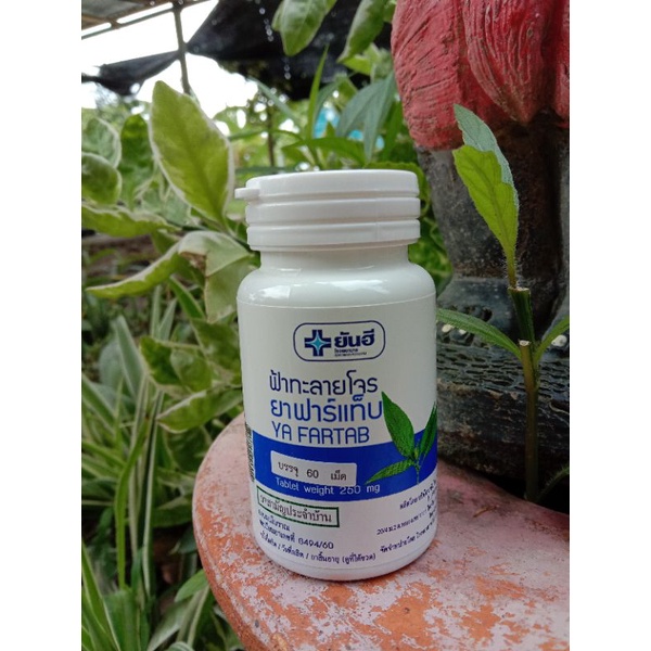 ฟ้าทะลายโจร ชนิดเม็ด | Shopee Thailand