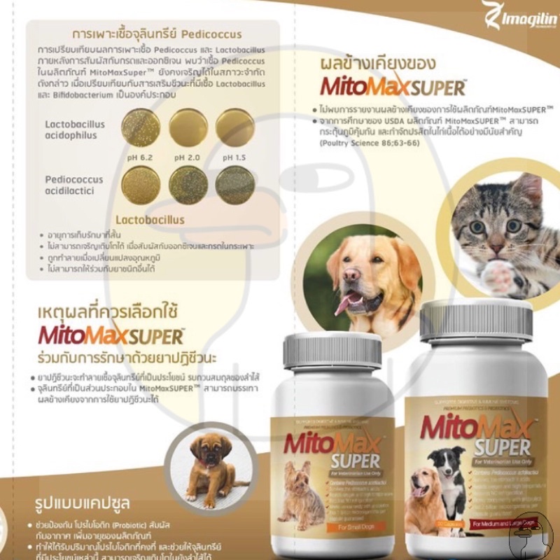 Mitomax Super Premium Probiotic โปรไบโอติก อาหารเสริม สุนัขช่วยในระบบ ...