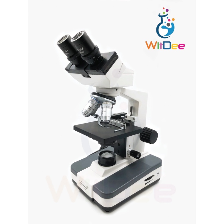 กล้องจุลทรรศน์ สองตา (Binocular Microscope) | Shopee Thailand