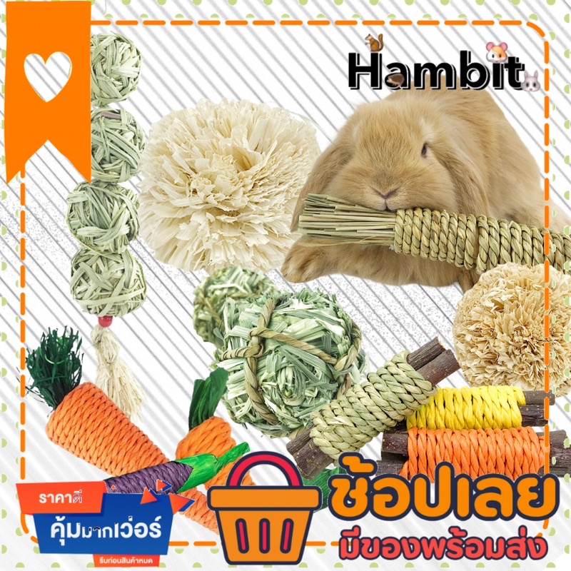 Hambit. ของเล่นกระต่าย บอลหญ้ากระต่าย ของเล่นแก้สบี้ หญ้ากระต่าย ...