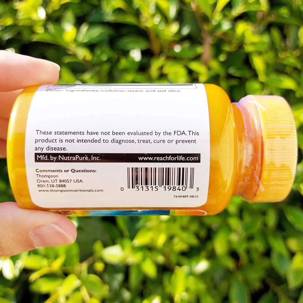 รูทิน Rutin 500 mg 60 Tablets (Thompson®) รูติน | Shopee Thailand