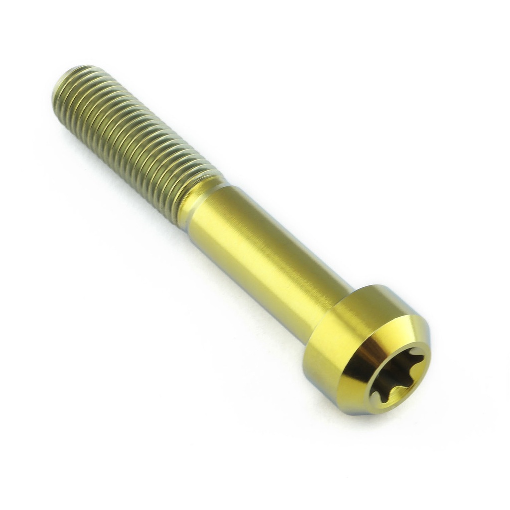 Pro-Bolt ไทเทเนี่ยม หัวทอร์ค M10x55,60,65,70mm | Shopee Thailand