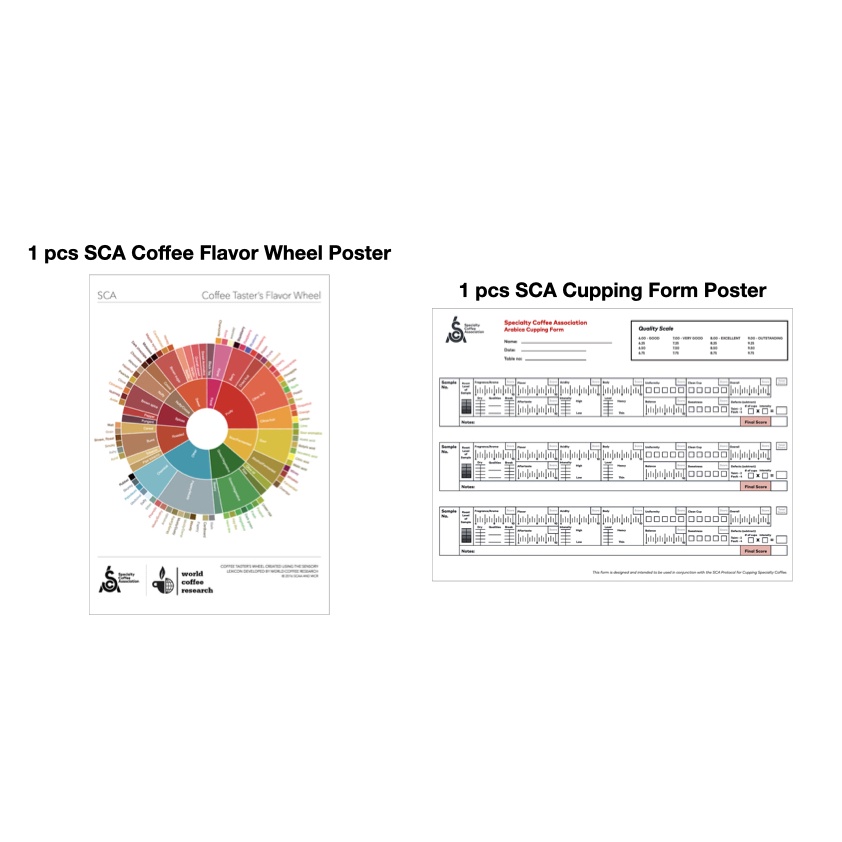 SCA Coffee Taster's Flavor Wheel Poster - ORIGINAL SCA VERSION- No ...