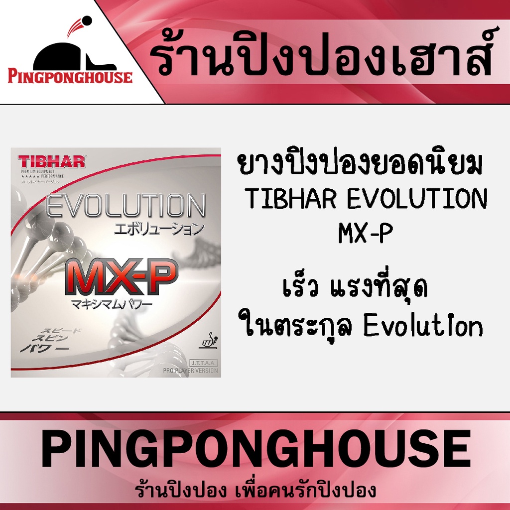 ยางปิงปอง TIBHAR EVOLUTION MX-P 2.1 ยางปิงปองยอดนิยม แรงที่สุด เร็วที่สุด ในตระกูล Evolution ...