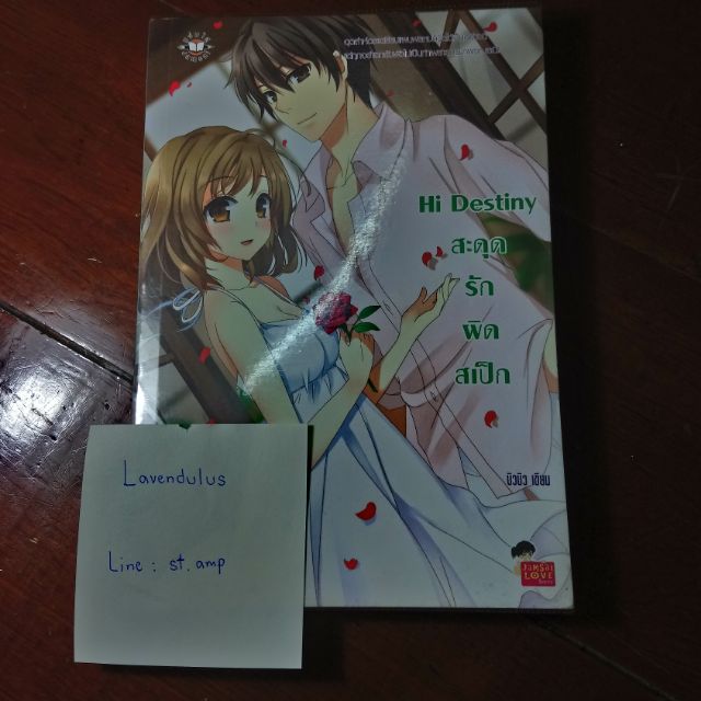 นิยาย Hi destiny สะดุดรักผิดผิดสเป็ก | Shopee Thailand