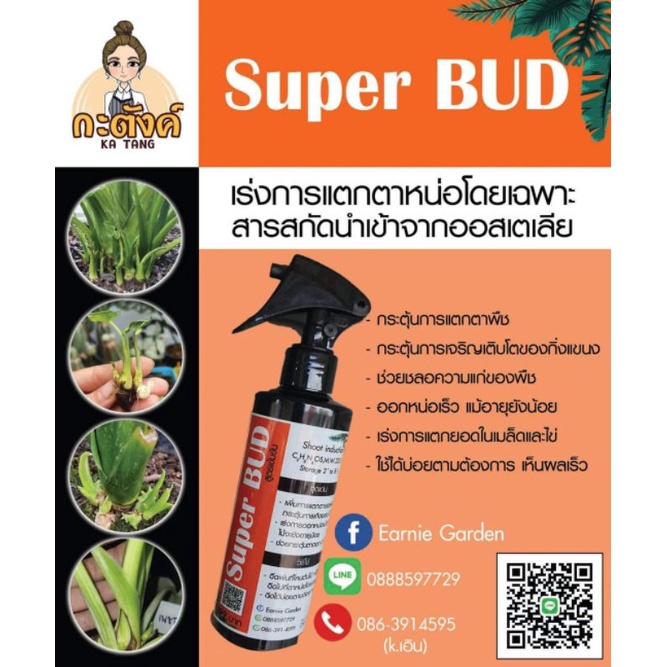 Super BUD ผลิตภัณฑ์เร่งการแตกตา แตกหน่อ แตกยอด อ่านข้างขวดให้ระเอียดทุก ...