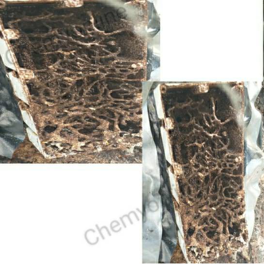 เหยื่อกำจัดปลวกTermatrix 100 กรัม+Active plus 100 กรัม อาหารปลวก กำจัดปลวกตายยกรัง | Shopee Thailand