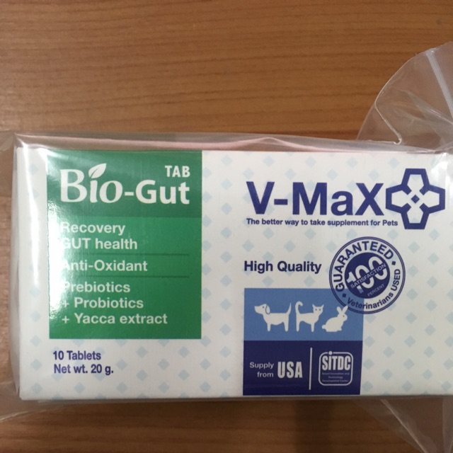 Biogut กล่อง 10 เม็ด | Shopee Thailand