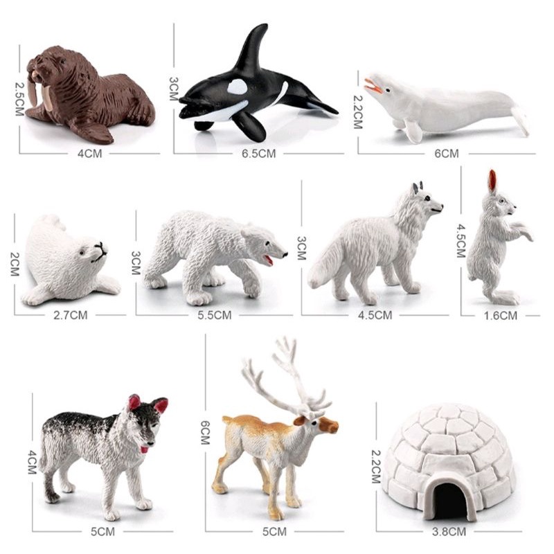 Mini Arctic Animals model set โมเดลสัตว์อาร์กติก | Shopee Thailand