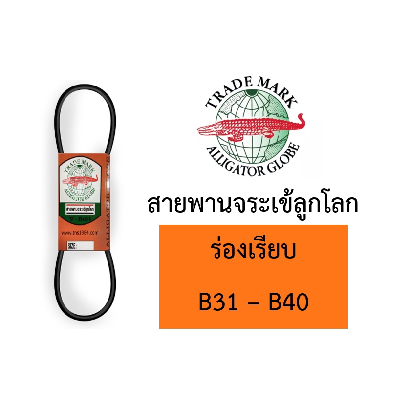 สายพาน จระเข้ลูกโลก B ร่องเรียบ ของแท้ B31 B32 B33 B34 B35 B36 B37 B38 B39 B40 | Shopee Thailand