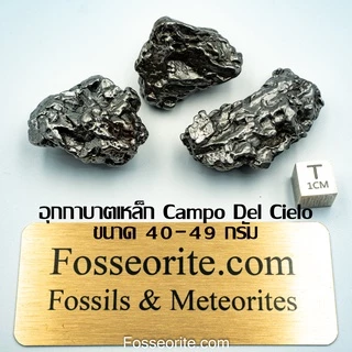 Fosseorite_Memorabilia, ร้านค้าออนไลน์ | Shopee Thailand