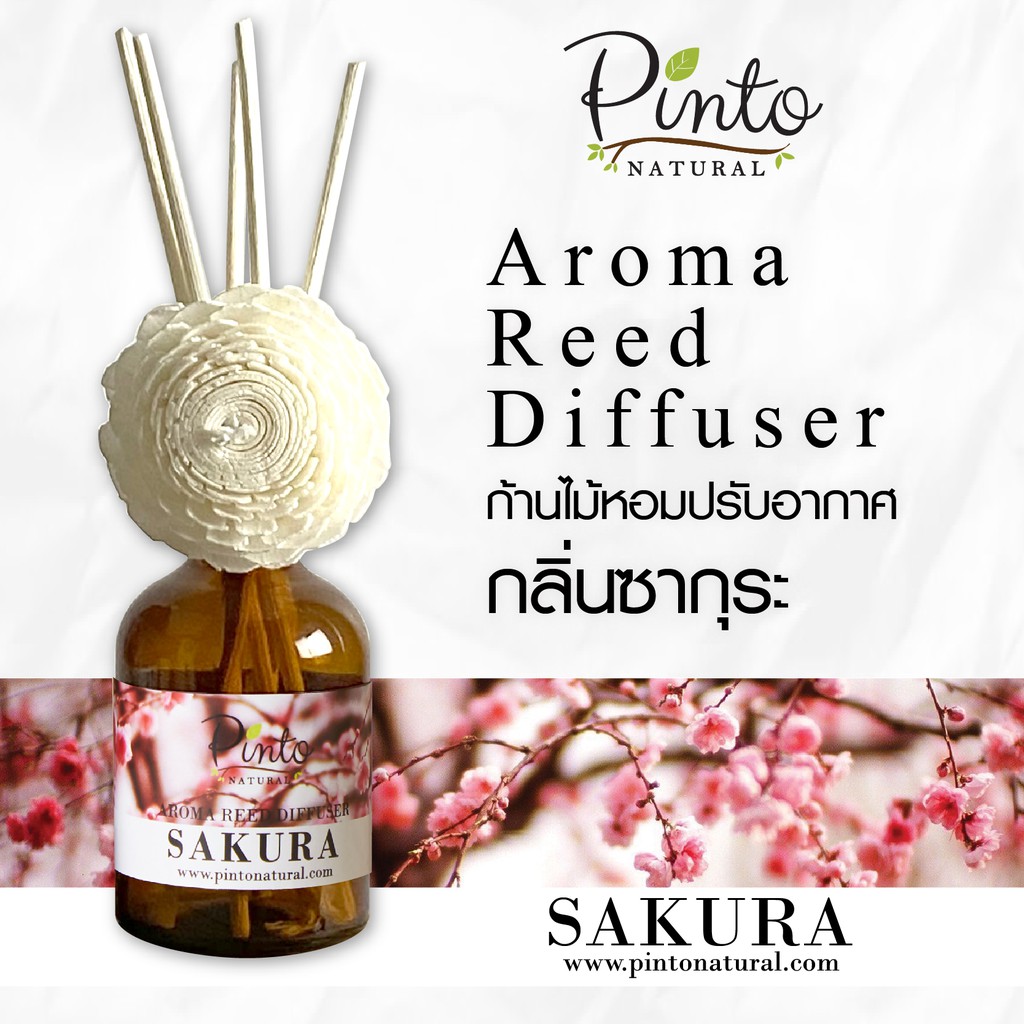 PINTONATURAL ก้านไม้หอมปรับอากาศ กลิ่นซากุระ Aroma Reed Diffuser Sakura ...