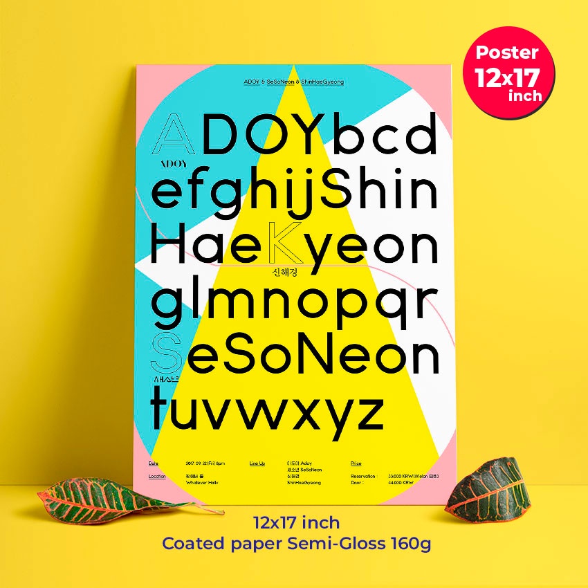 ADOY Poster Tour & Live Concert 12x17 inch โปสเตอร์ทัวร์ อะดอย วงซิน ...