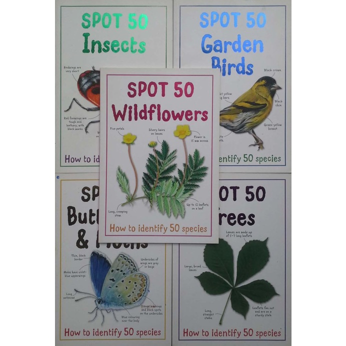 Spot 50 insects, wildflowers, birds, butterflies, trees หนังสือมือสอง ...