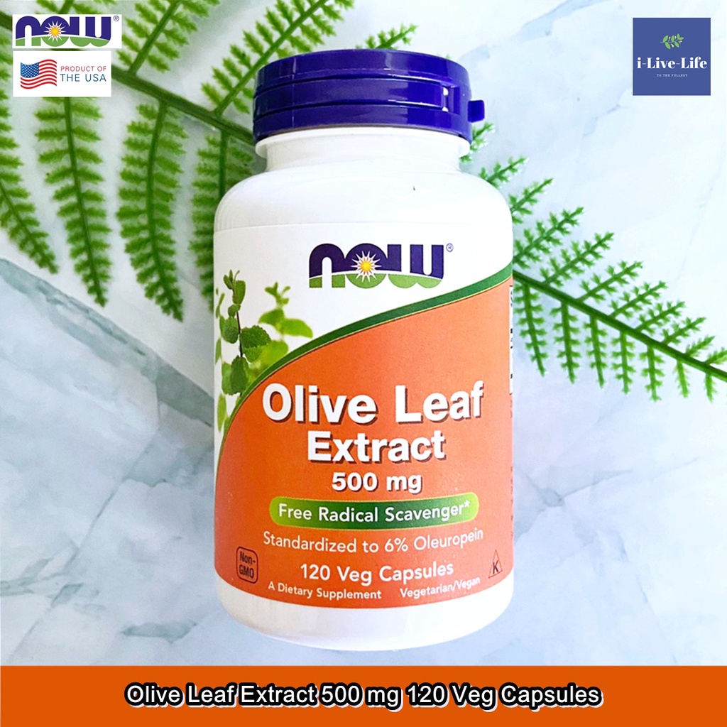 Now Foods Olive Leaf Extract 500 Mg 120 Veg Capsules สารสกัดจากใบ