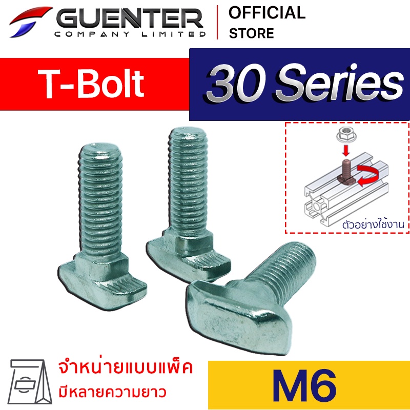 T-Bolt M6 30 Series (Pack 10) ราคาถูกสุด!!! น็อตยึดสำหรับอลูมิเนียมโปร ...
