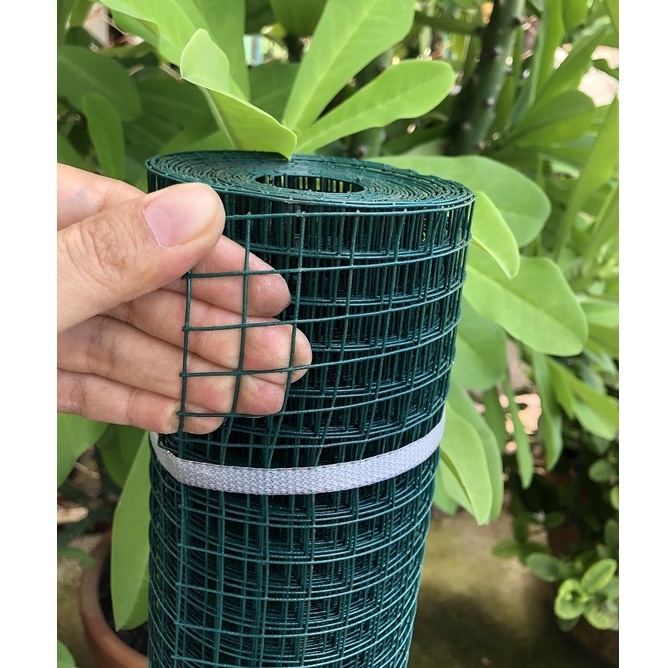 ลวดตาข่าย ชุบพีวีซี ตา 1/4" 1/2" 3/4" 1" (0.9x10m) น้ำเงิน เขียว ม่วง ...