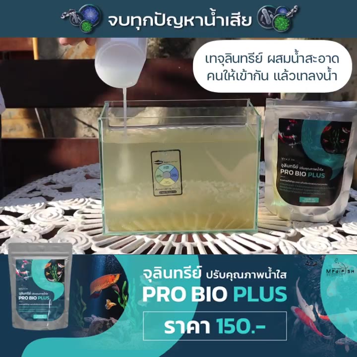 จุลินทรีย์ปรับคุณภาพสภาพน้ำใส PRO BIO PLUS 250กรัม บำบัดน้ำสำหรับบ่อปลา ...