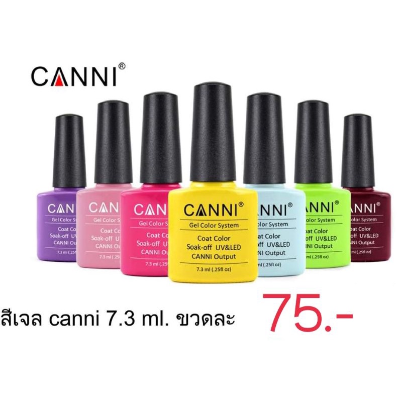 สีเจลแคนนิ canni (212-258) | Shopee Thailand