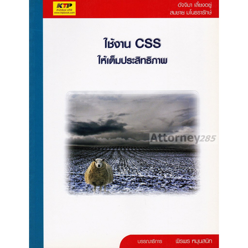 ใช้งาน CSS ให้เต็มประสิทธิภาพ | Shopee Thailand