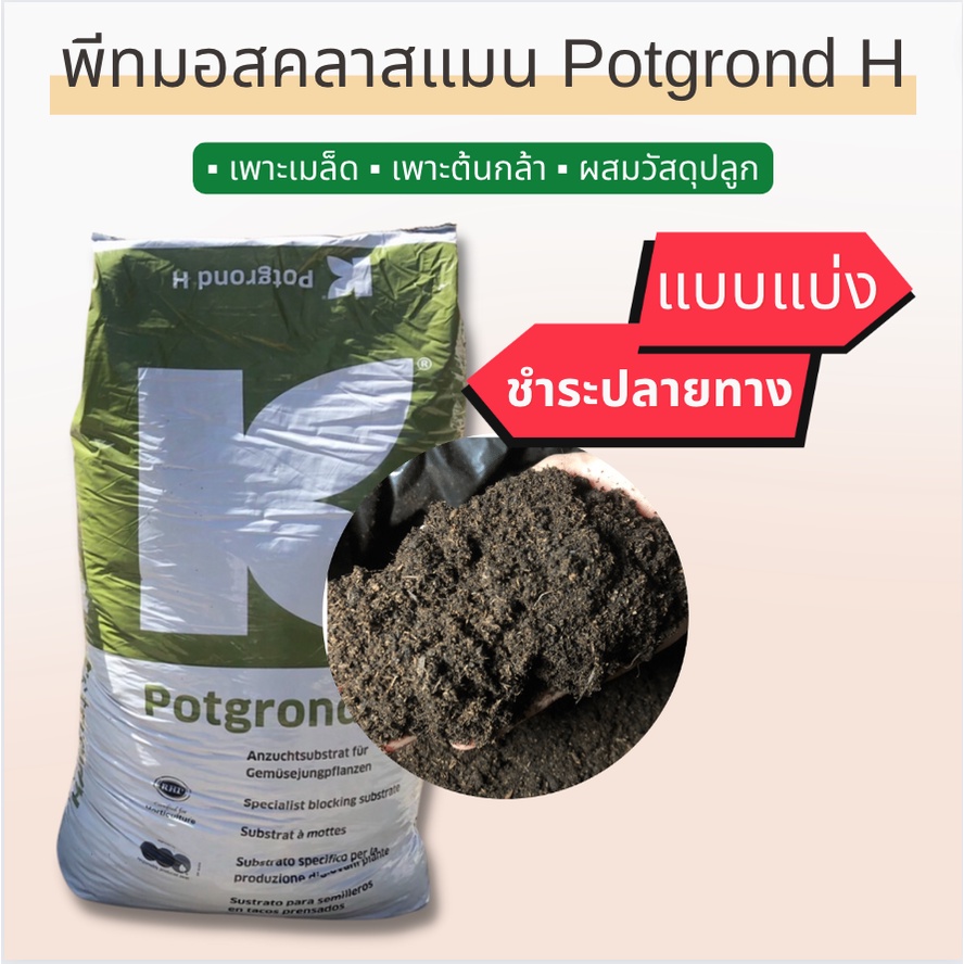 พีทมอสคลาสแมน Potgrond H นำเข้าจากเยอรมัน แบบแบ่ง "ชำระปลายทางได้ ...