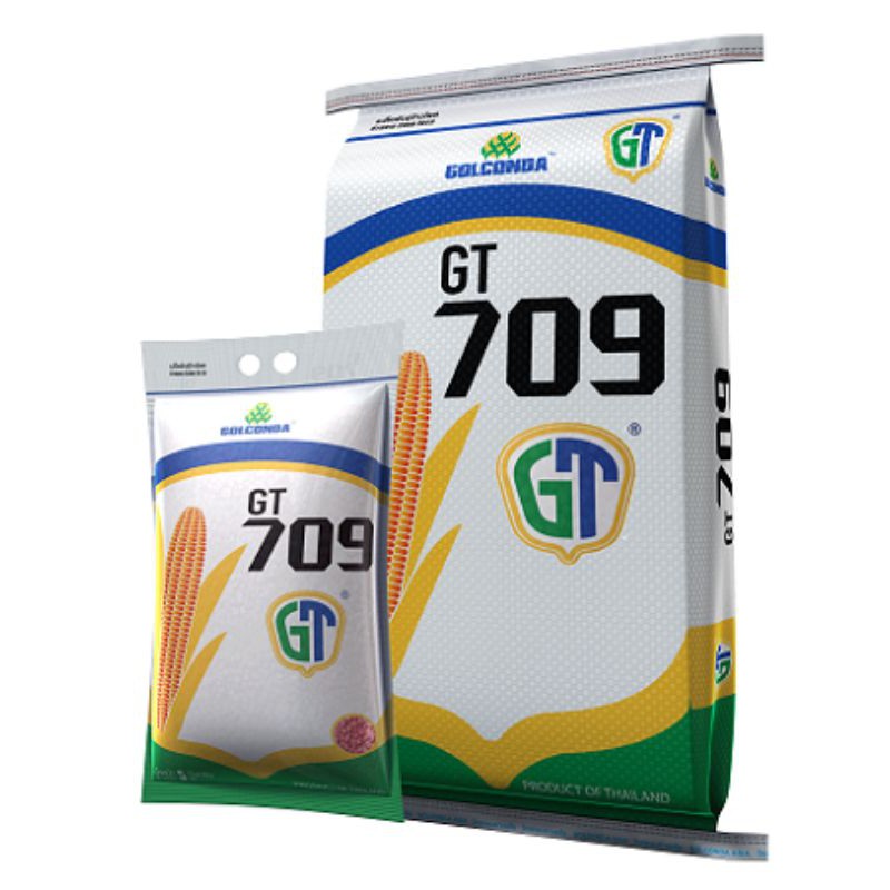 เมล็ดพันธุ์ข้าวโพดเลี้ยงสัตว์GT709 5กิโลกรัมขนาดเมล็ด3.5หุนให้ผลผลิต ...