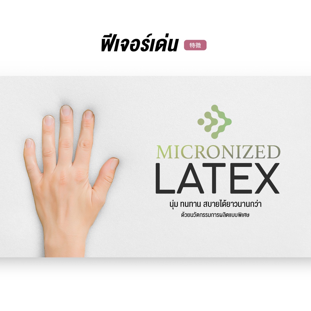 Orientas Roji-Cha รุ่น Jari เบาะรองนั่งเพื่อสุขภาพ ผลิตจากยางพาราแท้ ...