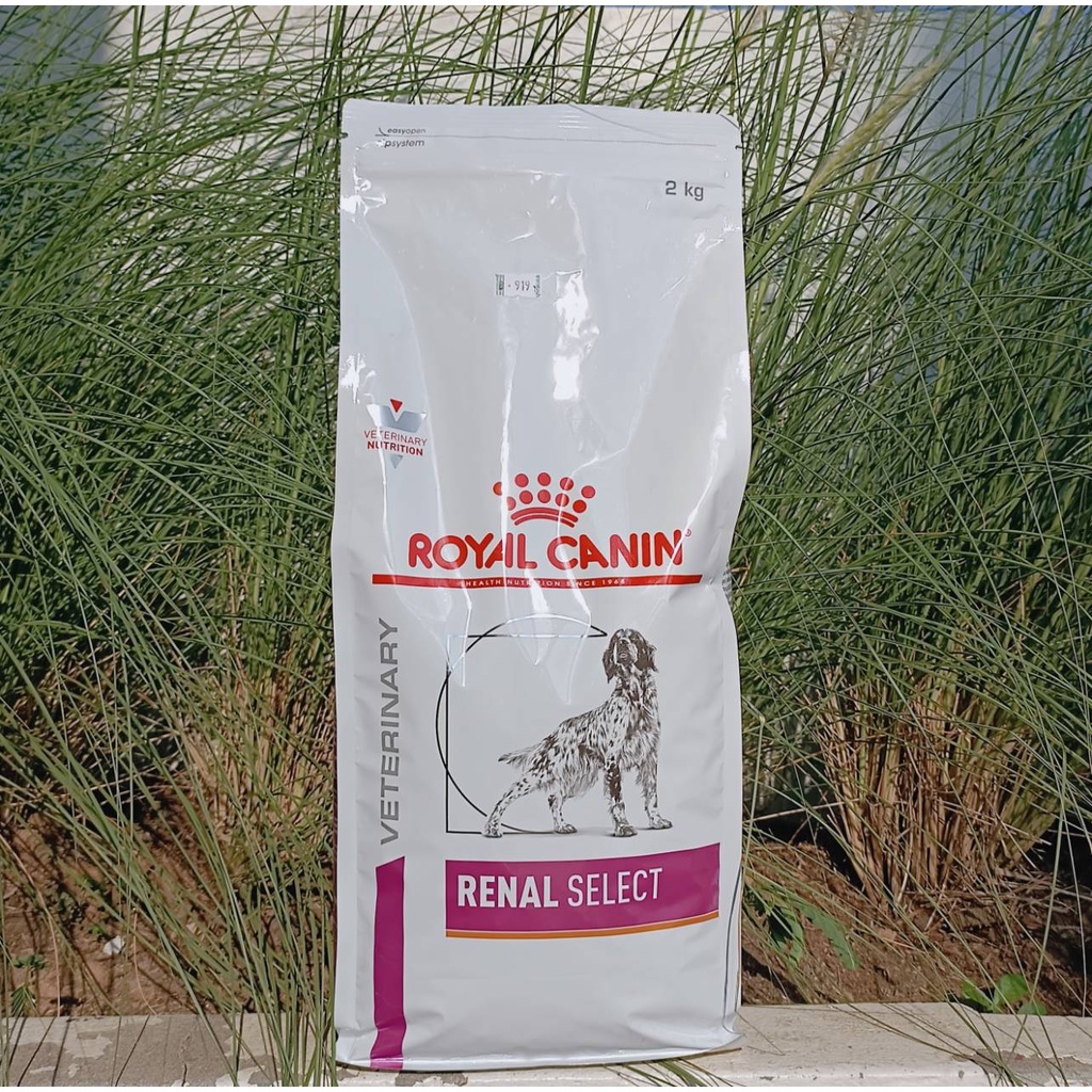 Royal Canin Dog Renal Select 2 KG.exp.25-07-2023แถมอาหารเม็ดตัวอย่าง1 ...