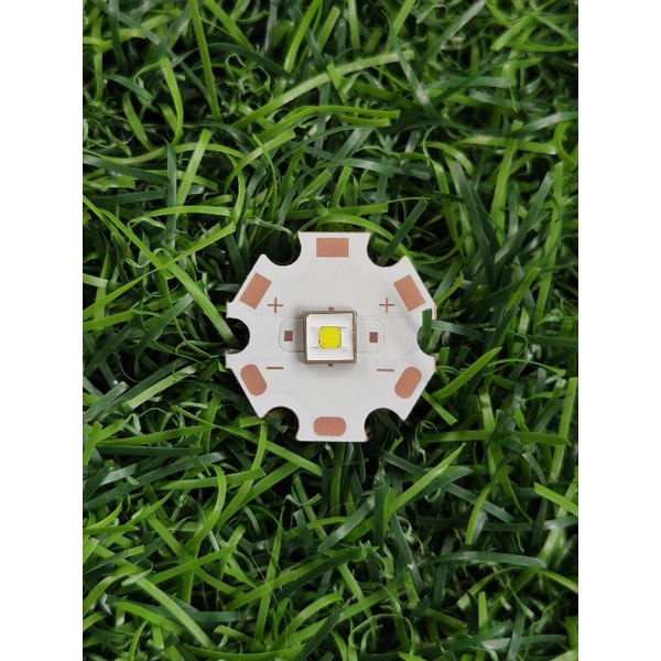 หลอดไฟฉาย Luminus SFT40 แสง6500k 5000k 3000k ฐานทองแดงDTP | Shopee Thailand