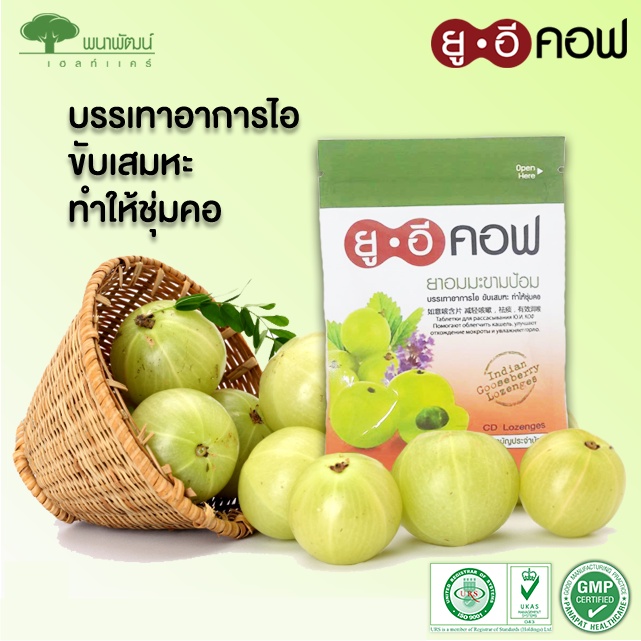 UE COF OS & CD 120 cc. ยูอีคอฟ โอเอส และ ซีดี สูตรมีน้ำตาล และ ไม่มี ...
