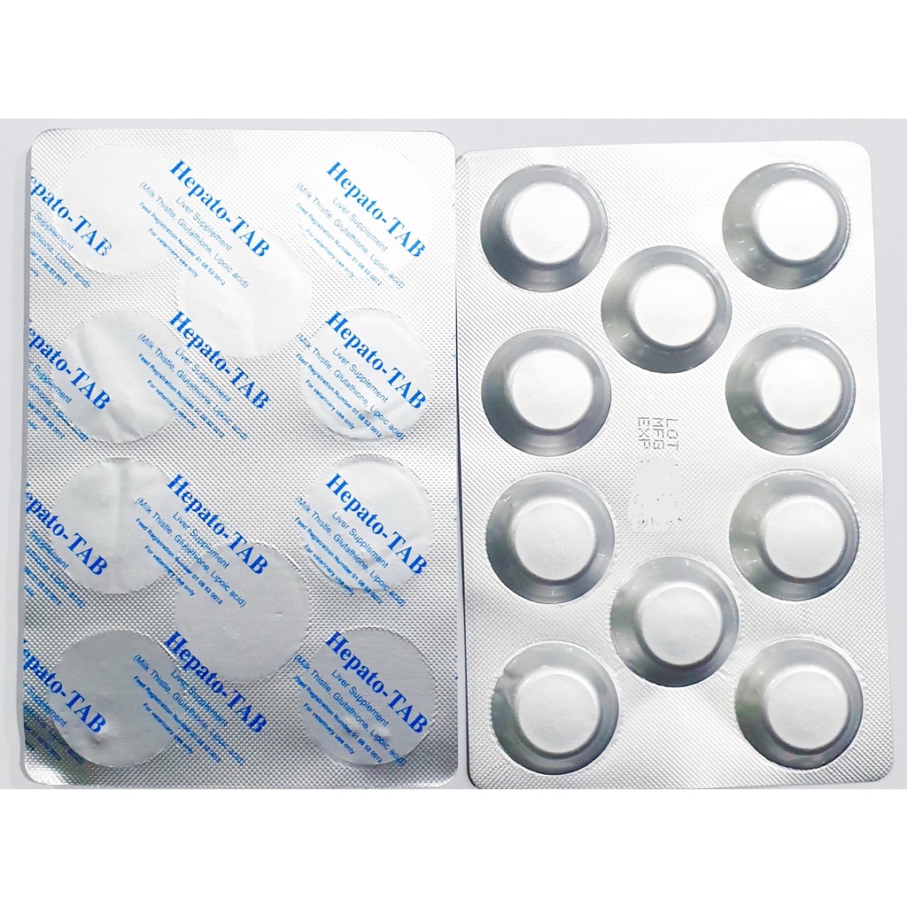 [แบ่งขาย] Hepato Tab บำรุงตับสุนัข บำรุงตับแมว Exp.10/2026 | Shopee ...