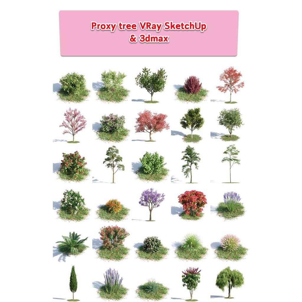 Proxy tree for VRay SketchUp & 3dMax (Archmodel v.163) | Shopee Thailand