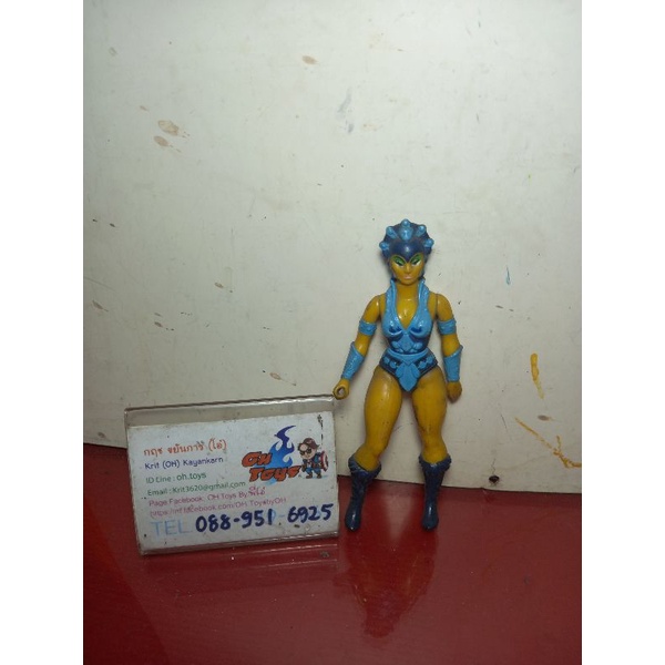 Evel-Lyn master of the universe | Shopee Thailand