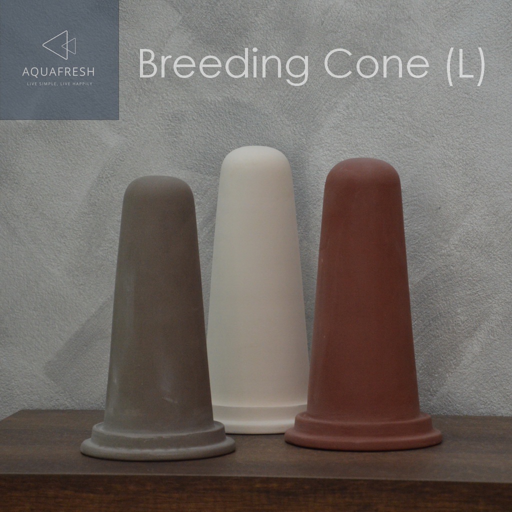 Breeding Cone (L size) โคน/โดมเซรามิค สำหรับเพาะปลาปอมปาดัวร์หรือปลา ...