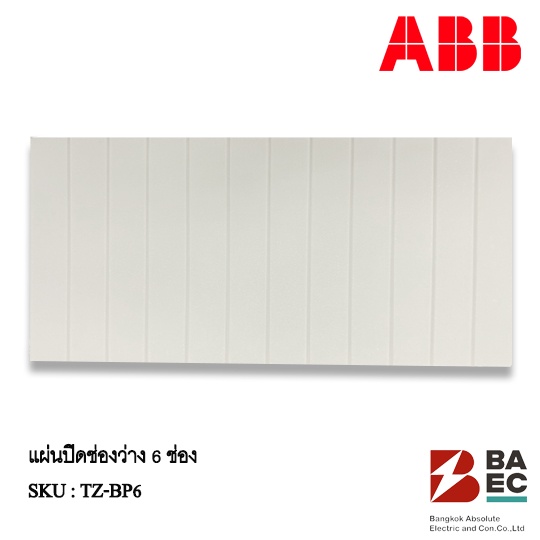 ABB Blanking plate 6 module TZBP6 แผ่นปิดช่องว่าง ขนาด 6 ช่อง | Shopee ...