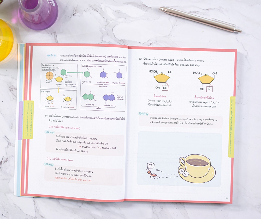 Thinkbeyond Book(ธิงค์บียอนด์ บุ๊คส์)หนังสือ Note ม.ปลาย ติวเข้มก่อนสอบ | Shopee Thailand