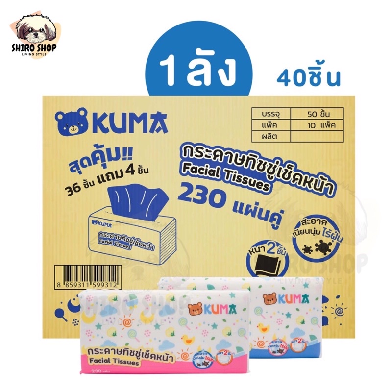 KUMA Facial Tissue กระดาษทิชชู่เช็ดหน้า ยกลัง | Shopee Thailand