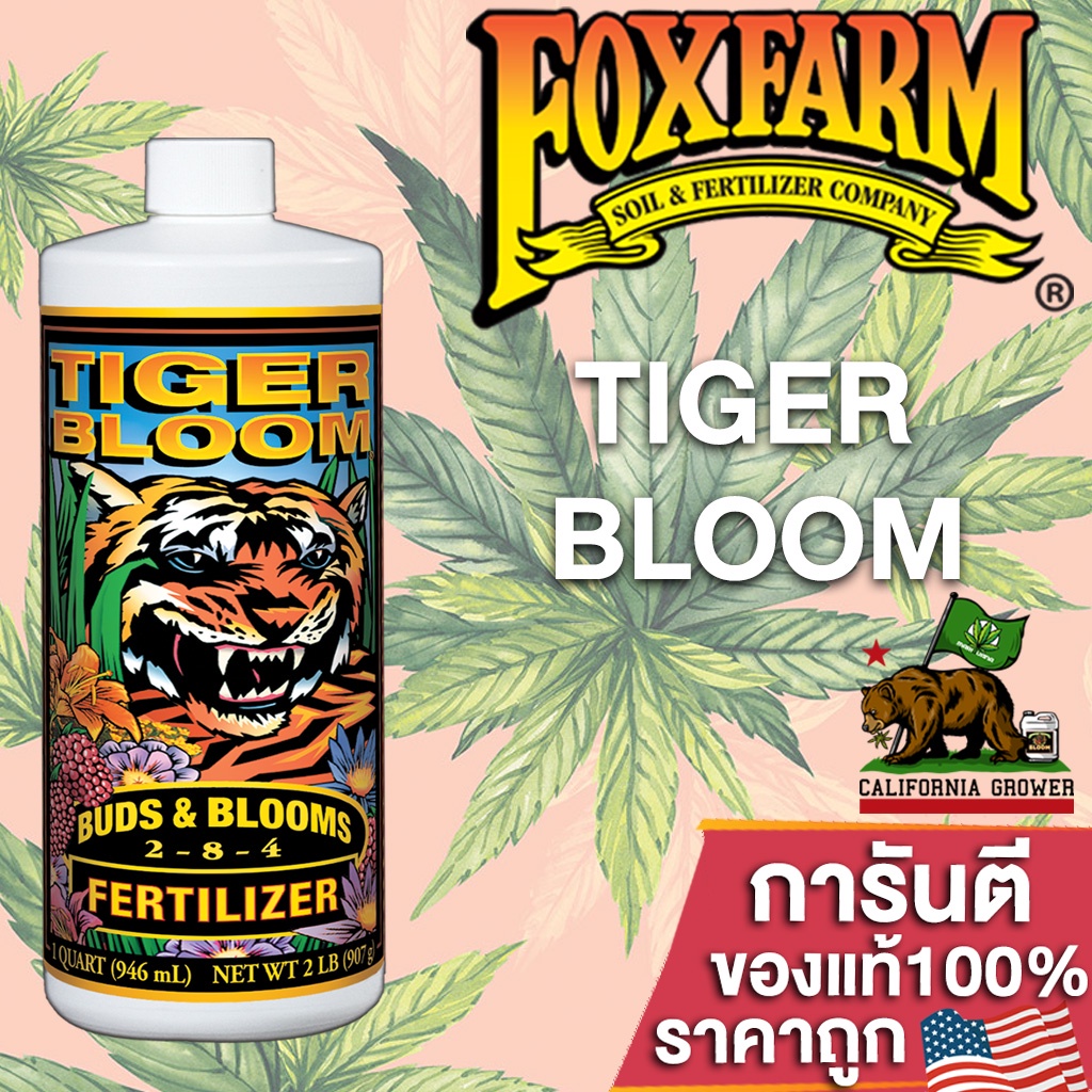 Fox Farm Tiger Boom (2-8-4) ขนาดแบ่งขาย 50ML/100/250ml | Shopee Thailand