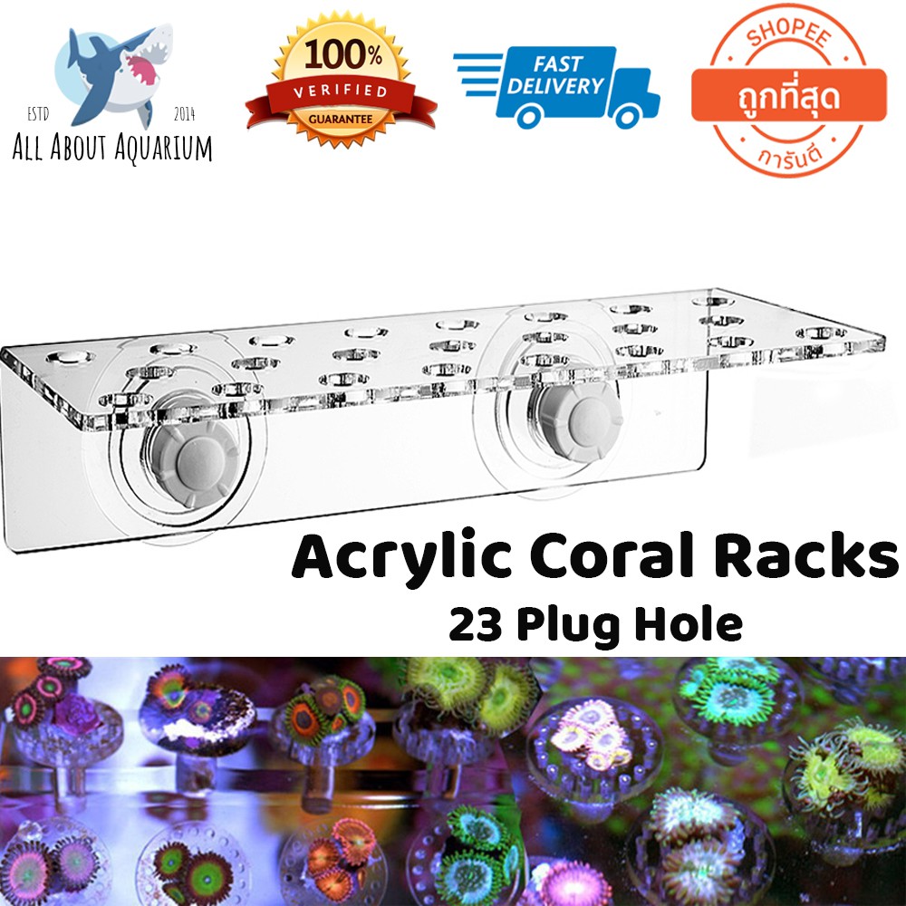 Marine Sources Coral Bracket Racks 23 PCS. ตะแกรงวางแฟรกปะการัง จุดยาง ...