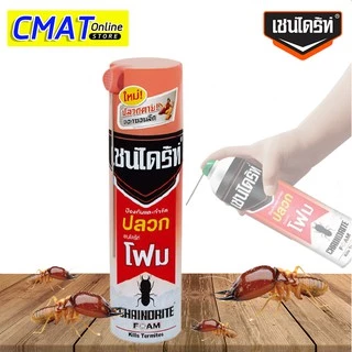 ช้อป CHAINDRITE โฟม ง่าย ๆ บน Shopee | มิ.ย. 2024