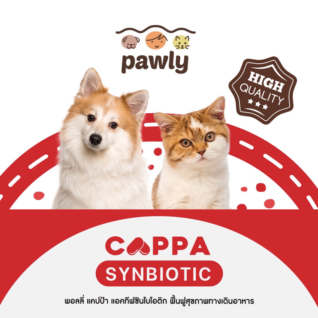 Pawly Cappa ผลิตภัณฑ์รักษาสมดุลในระบบทางเดินอาหารของสุนัขและแมว | Shopee Thailand