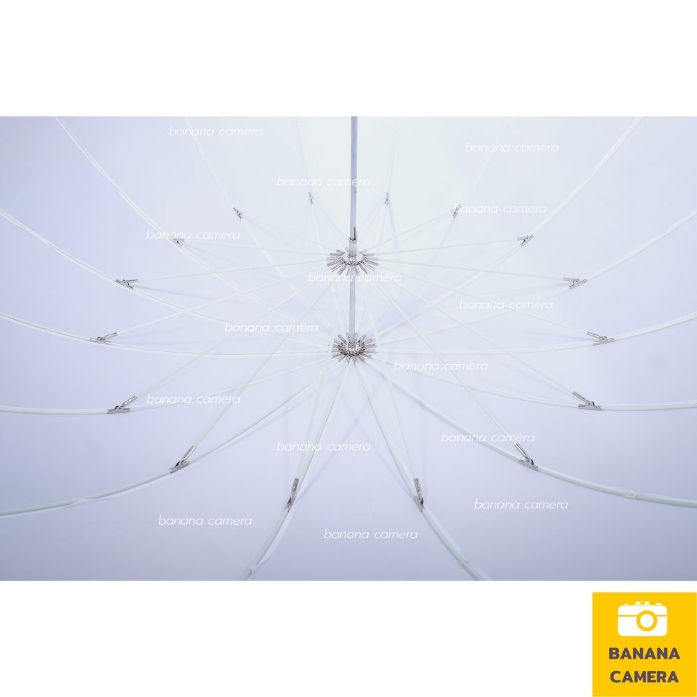 ร่มทะลุ สีขาว ร่มแฟลช ร่มถ่ายภาพ ขนาด 60 นิ้ว ประมาณ 150 CM Banana ...