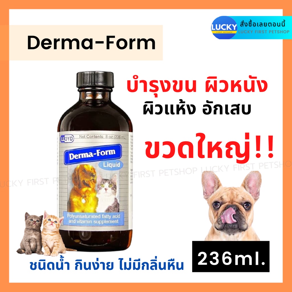 Derma Form Liquid ขวดใหญ่ อาหารเสริมสุนัข แมว หมา บำรุงสัตว์เลี้ยง ...