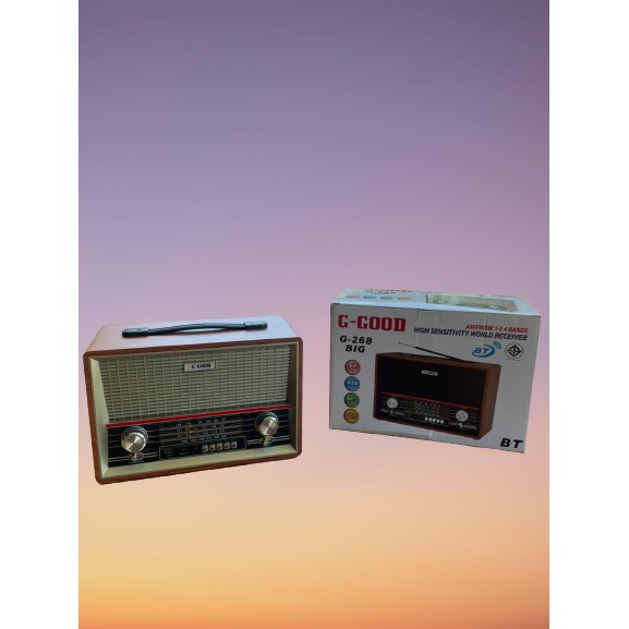 วิทยุ G-GOOD รุ่น G-268 BIG บลูทูธ (คละสี) | Shopee Thailand