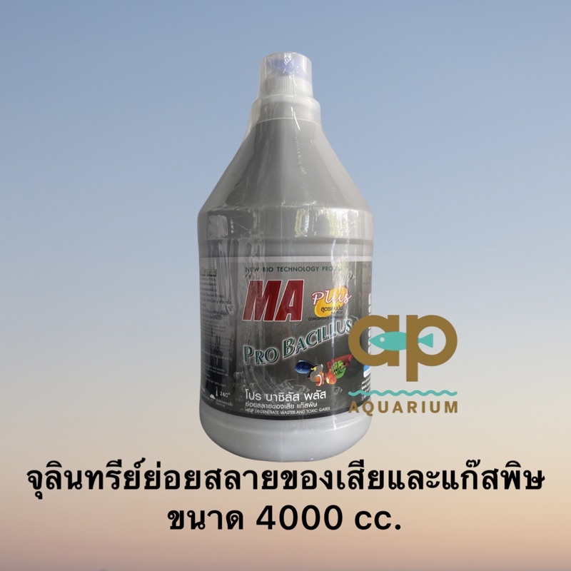 PRO BACILLUS PLUS 4000cc จุลินทรีย์น้ำ ขนาด 4 ลิตร ย่อยสลายของเสียและ ...