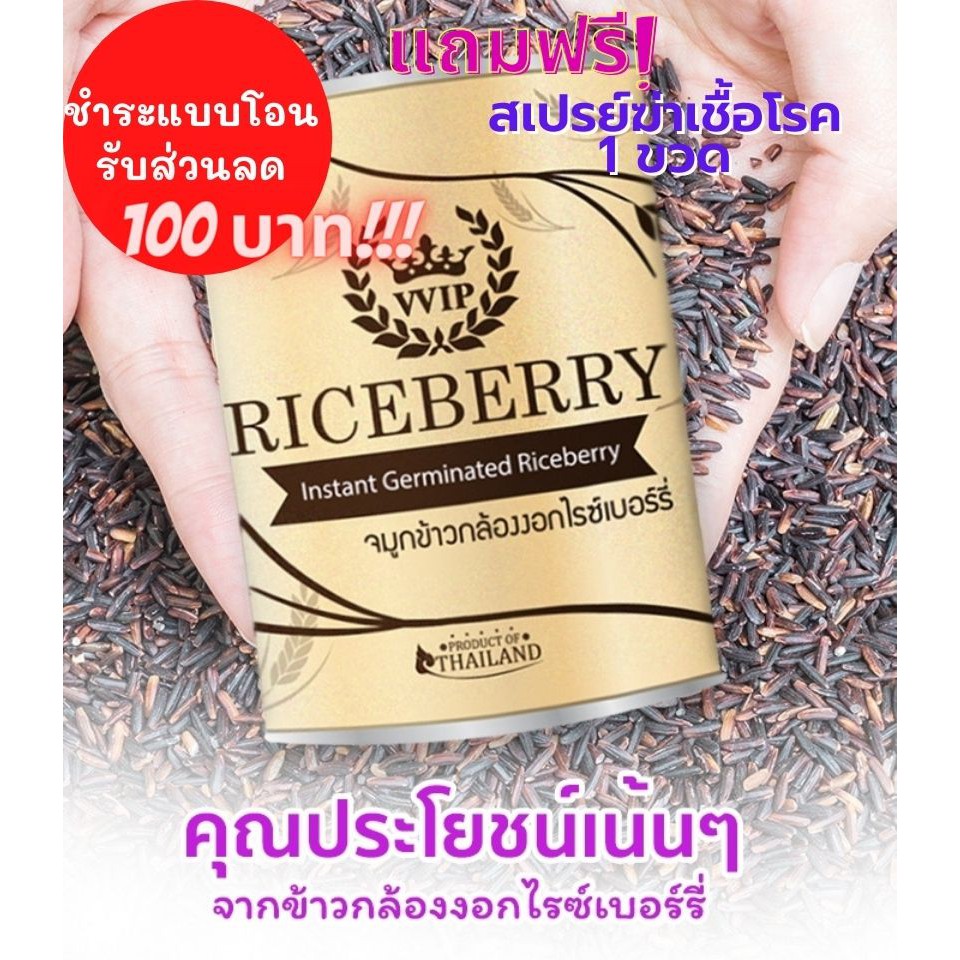 จมูกข้าวไรซ์เบอร์รี่ จมูกข้าวกล้องงอกไรซ์เบอร์รี่ VVIP Riceberry Germ ...