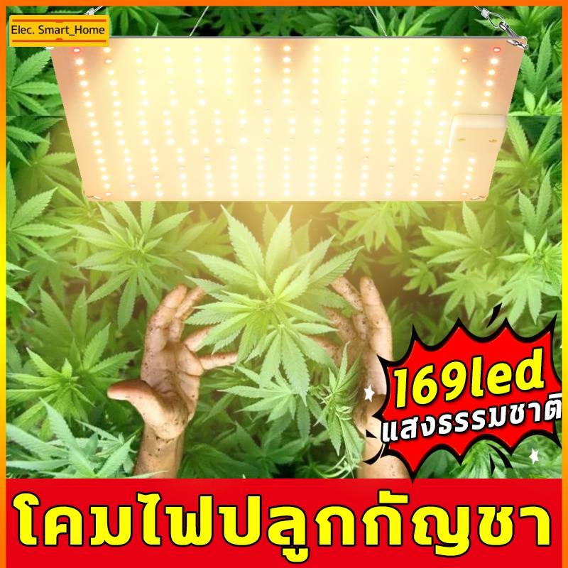 เติมแสงให้กัญชา ไฟปลูกต้นไม้ LED 169 ไฟปลูกพืช เต็มสเปกตรัม แสงอาทิตย์ ไฟปลุกต้นไม้ ไฟช่วยต้นไม้ ...