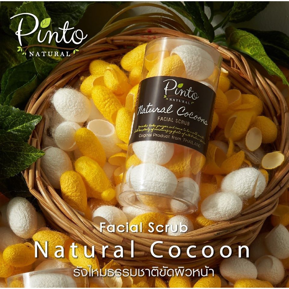 Pinto Natural Cocoon Facial Scrub รังไหมธรรมชาติขัดผิวหน้า ลดสิวเสี้ยน ...
