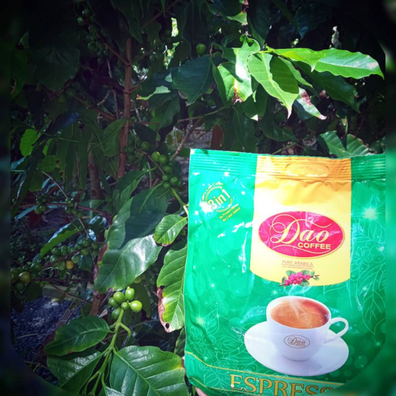 กาแฟดาว Dao COFFEE 3in1ESPRESSOสีเขียว 25ซองในห่อ | Shopee Thailand