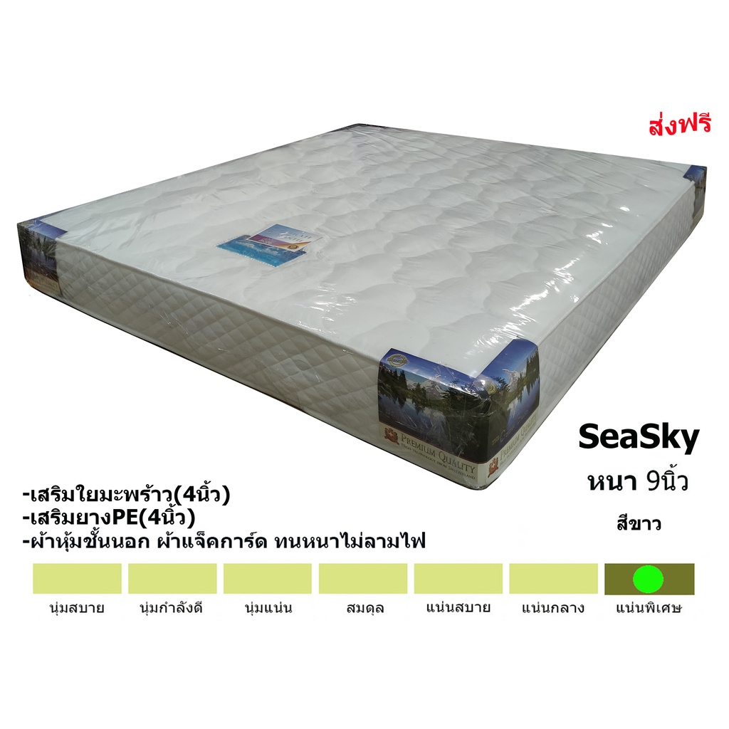 ใยมะพร้าวเกรดAอย่างหนาแข็งแน่นทนทาน เหมาะสำหรับผู้สูงอายุ ที่นอน SeaSky ...